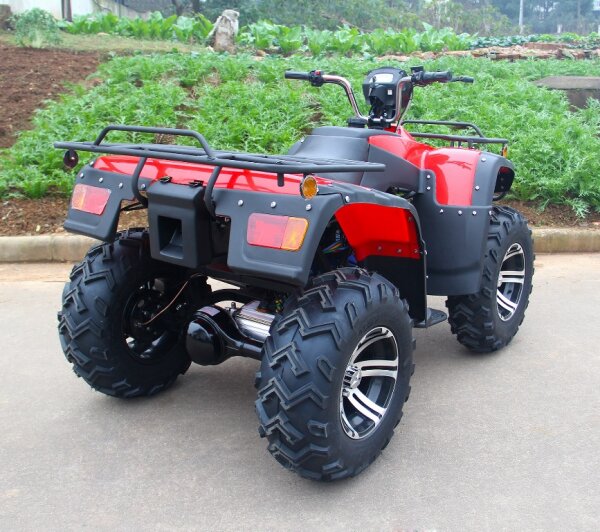 5KW Elektro Quad mit Differential, 5.999,00