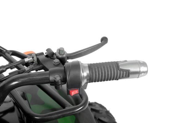 Farmer 1200Watt 60V mit Differential, 1.600,00